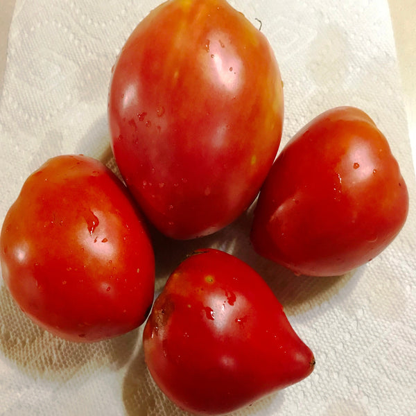 German Red Strawberry Tomato Heirloom – Papaws Garden Supply LLC